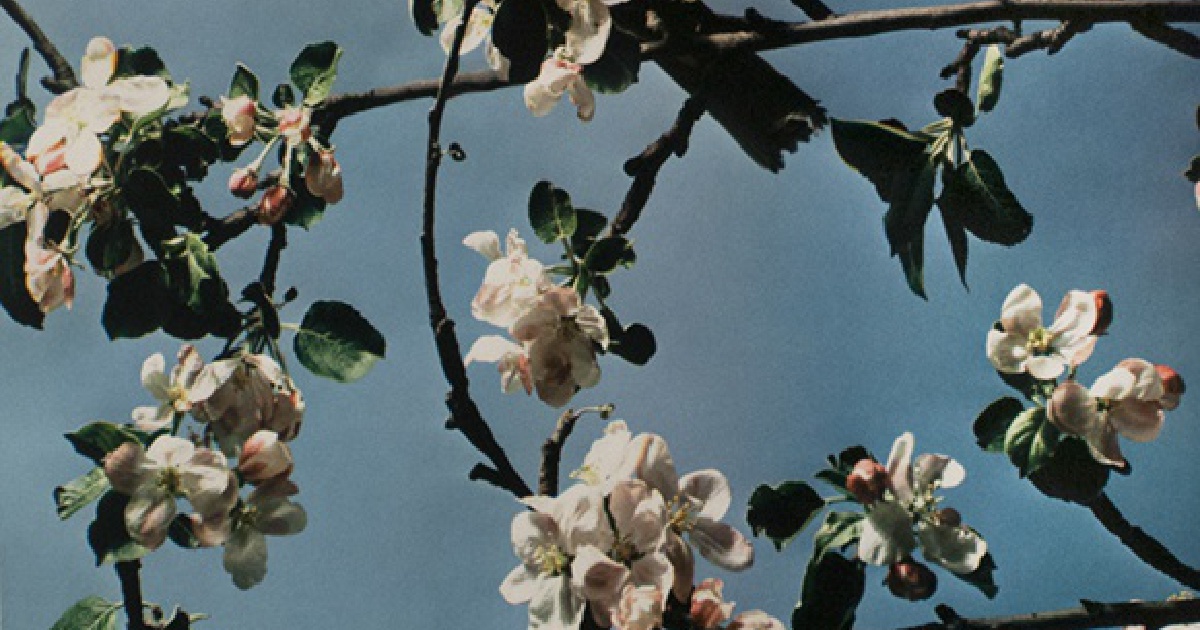 Press | Bruce Silverstein