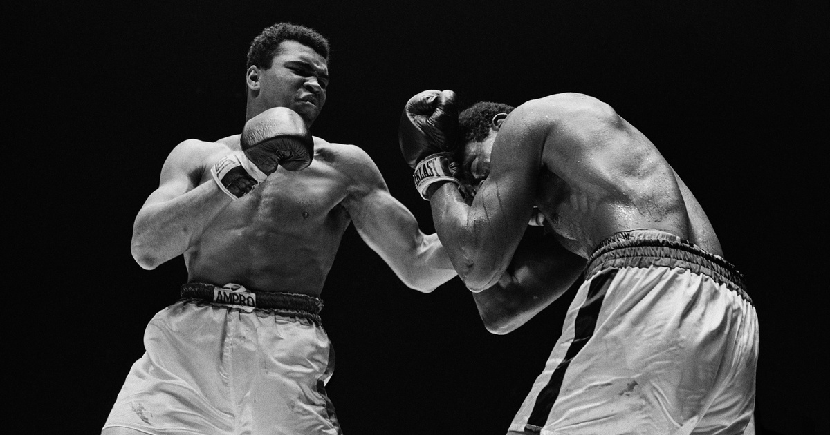 Bruce Silverstein Gallery : Walter Iooss : Athlete