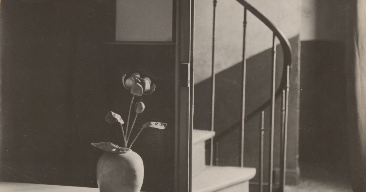 The Visual Language of Modernity - Press | Bruce Silverstein