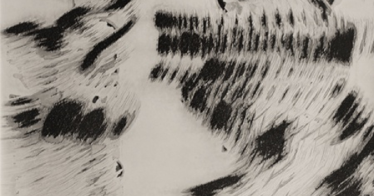 AARON SISKIND AT THE DAVIS MUSEUM OF ART | Bruce Silverstein