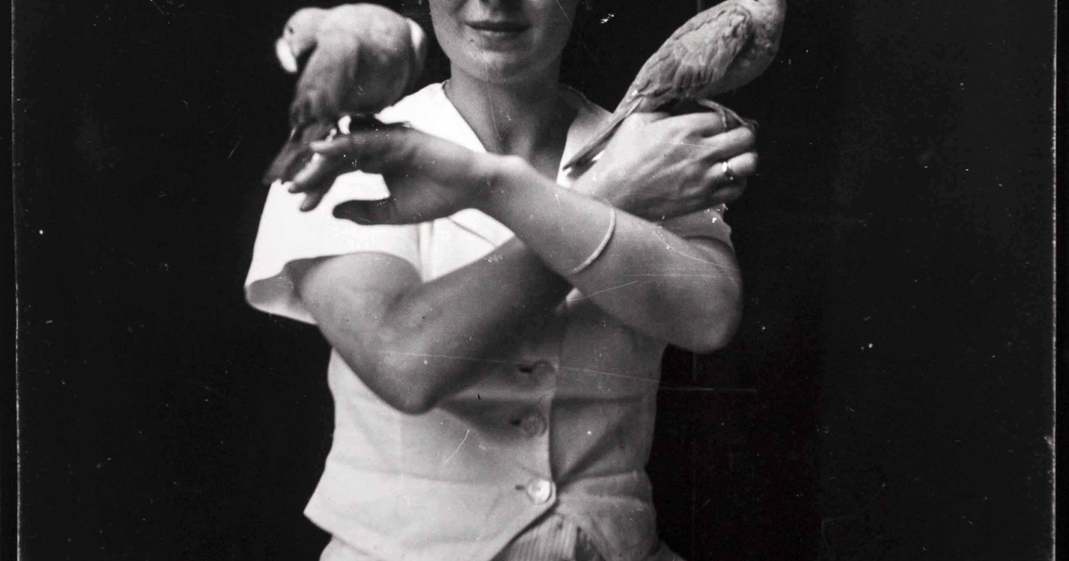 Press | Bruce Silverstein